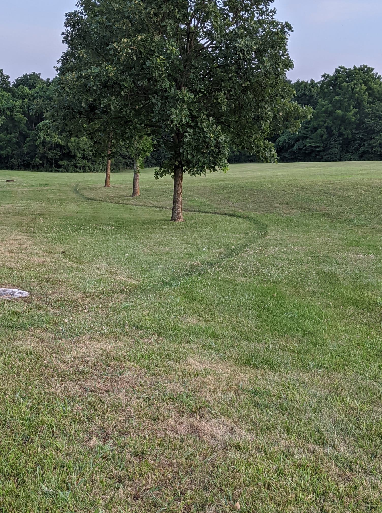 Running Well: Running the race marked out for YOU. – terriprahl.com