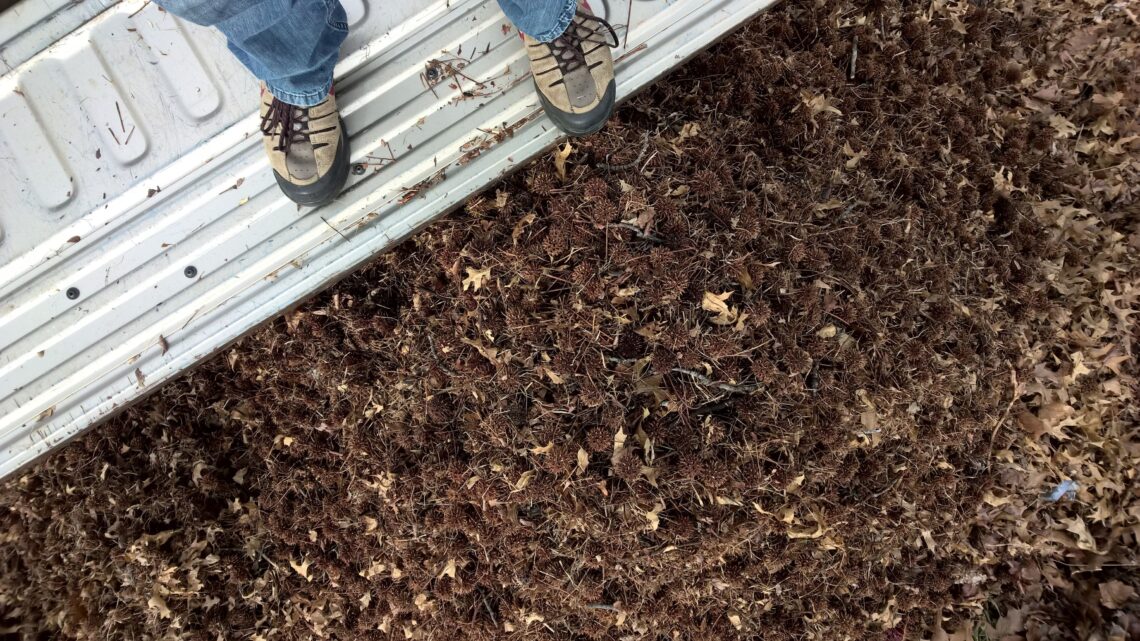 Making Every Effort: Responding to God’s Promises – terriprahl.com